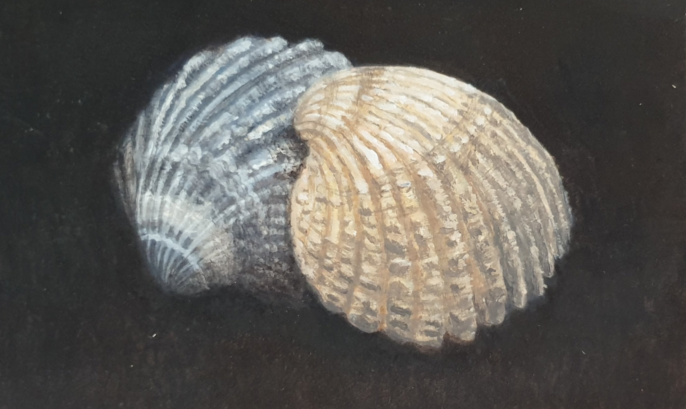 Pleun Procee | Kunst op Terschelling